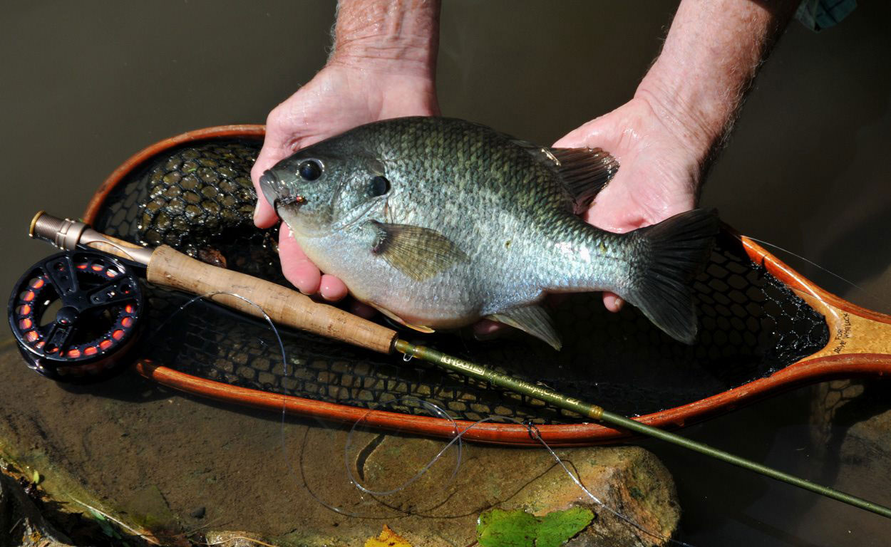 Photo Gallery - Dave & Emily Whitlock