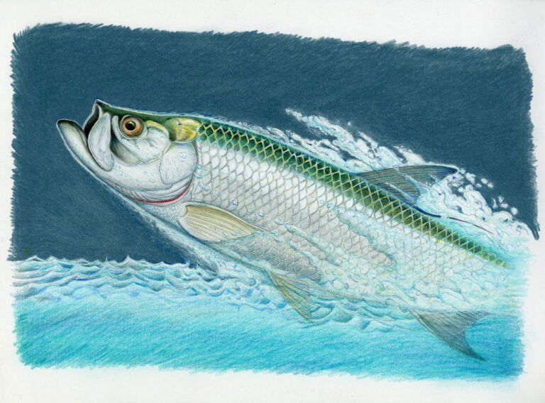 Homepage - Dave & Emily Whitlock Fly Fishing